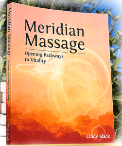 Meridian Massage Book - CindyBlack Blog
